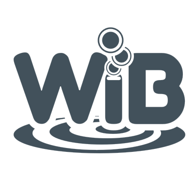 DBS' CFO on "Executing the digital strategy" - Widebanks